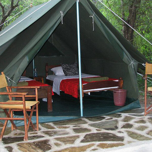 Maasai Simba Camp | Bush Barbeque Safari and Adventures
