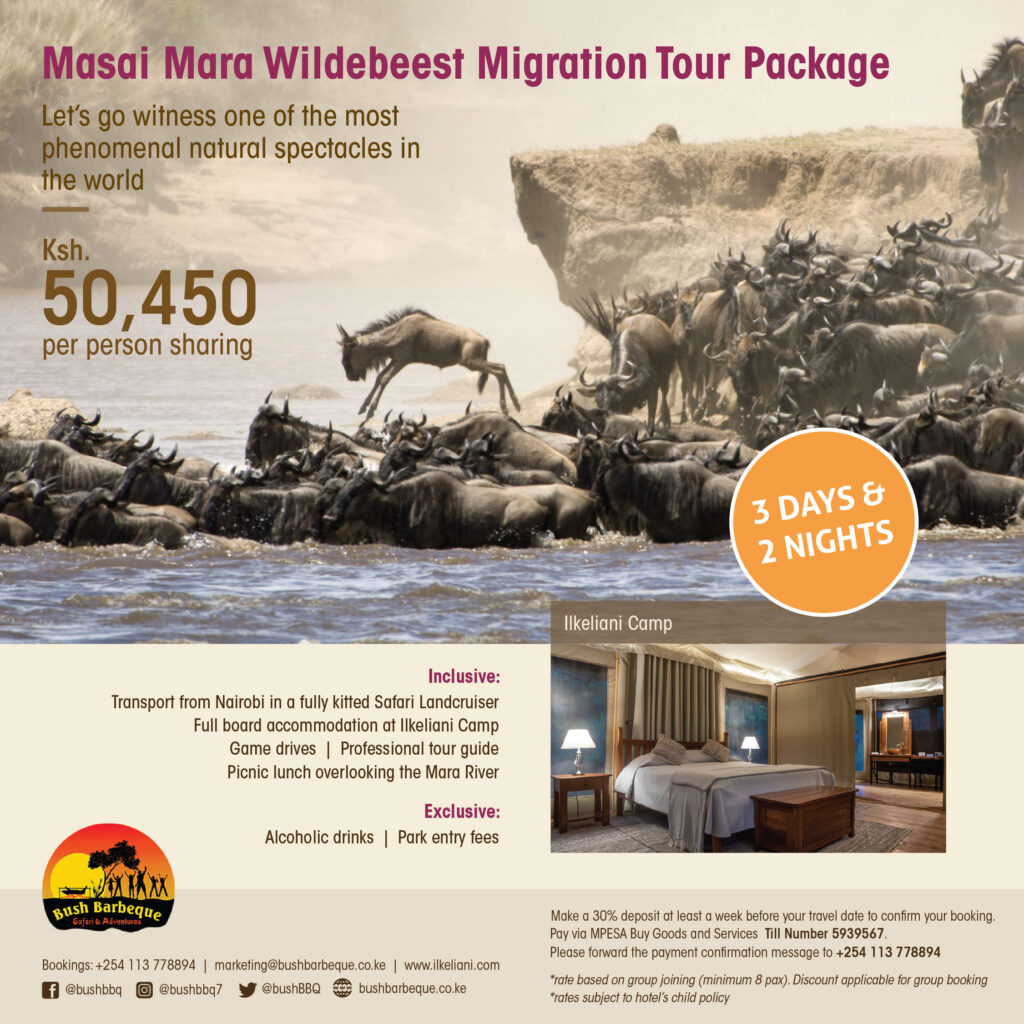 Masai Mara Wildebeest Migration Tour Package – Bush Barbeque Safari and ...